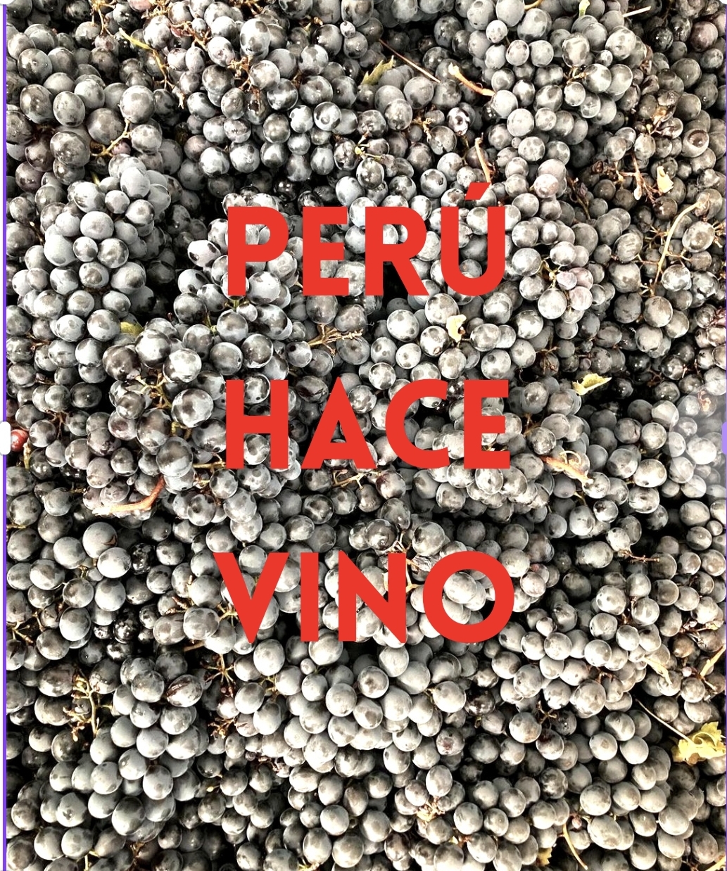 Destilando pisco | Blog | EL COMERCIO PERÚ
