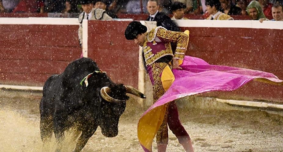 Fiesta Brava | Blog | EL COMERCIO PERÚ